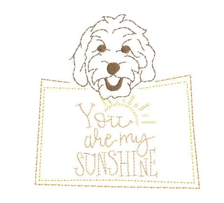 How to Use BX Fonts in the Free Embrilliance Software (Step-by-Step Gu ...